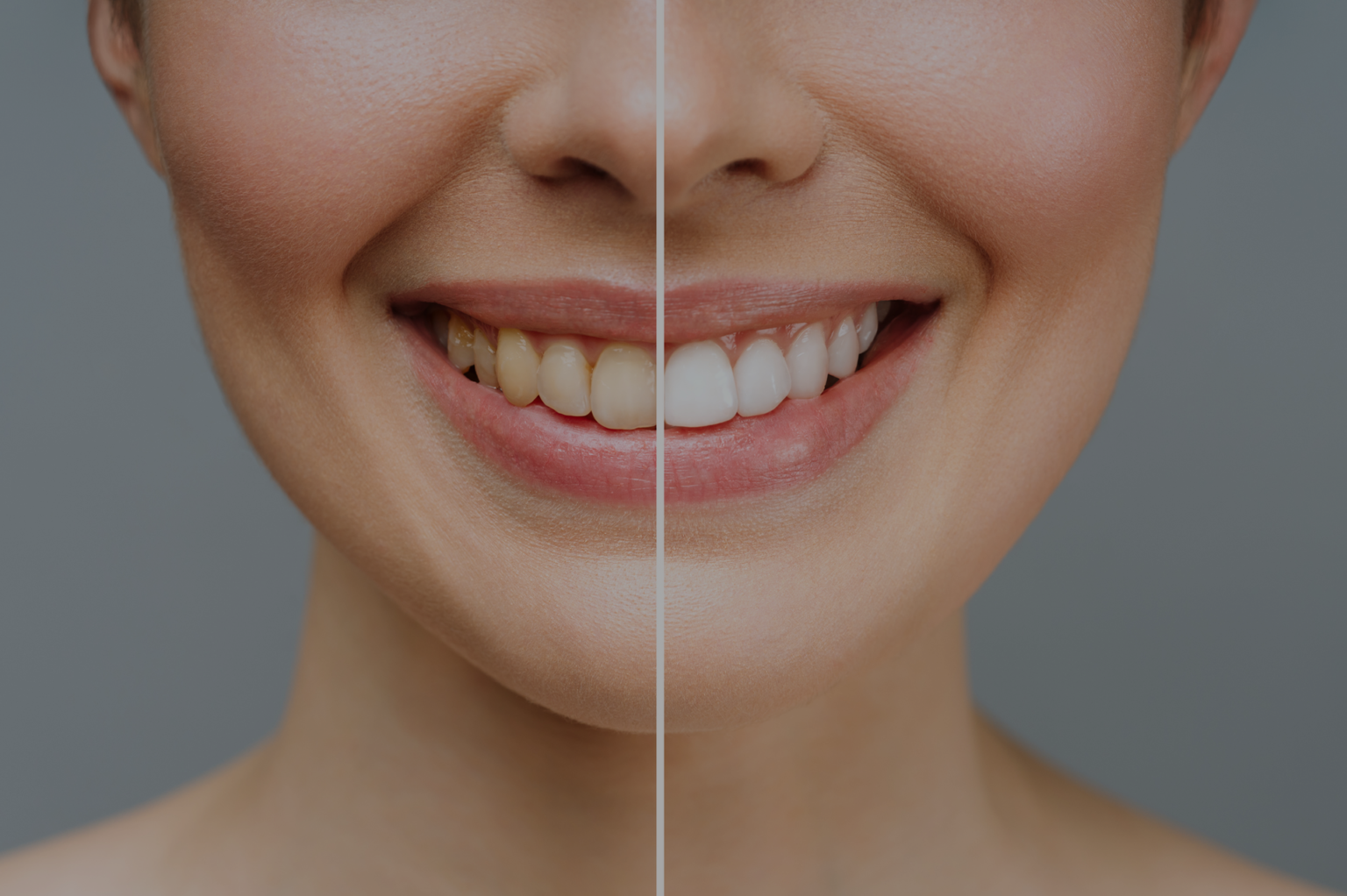 Services – Dr. Brian Mitchell & Associates
